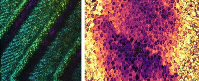 Funded PhD available in Computational Imaging for Fibre-Optic ...