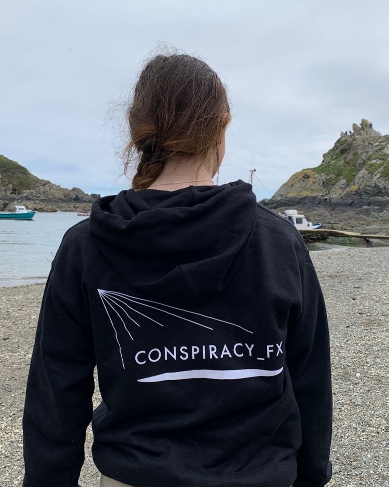 CONSPIRACY_FX project first year highlights - Consequences of ...