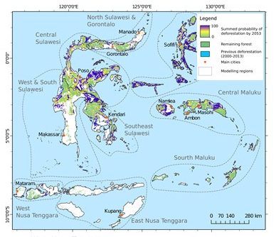 Deforestation and landscape change - Tropical Defaunation Hub ...