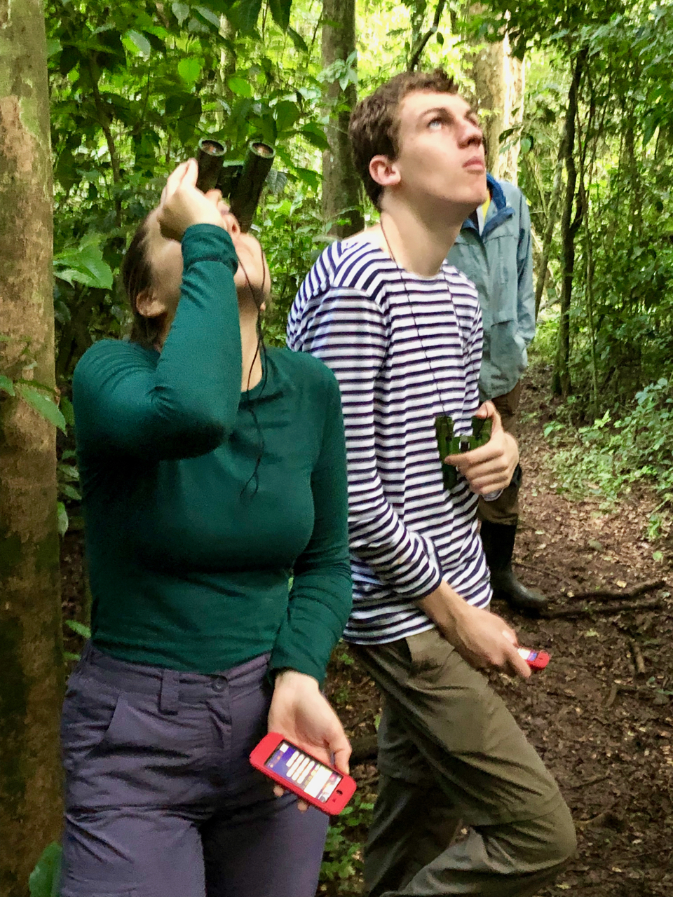 Animal Behaviour Pro﻿ - Living Primates Research Group - Research at Kent