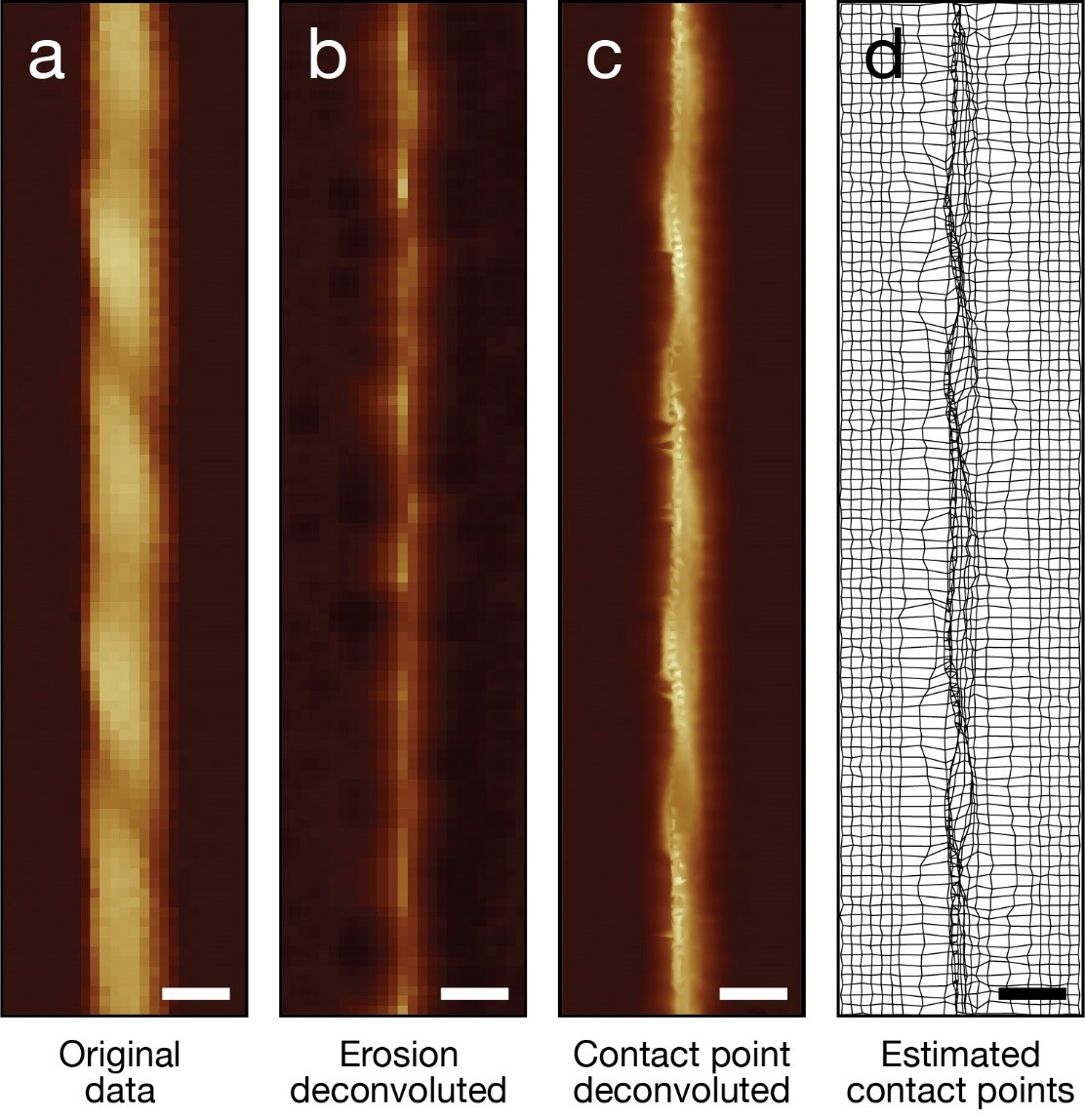 Preprint: using tip convolution to improve AFM resolution - The Serpell ...